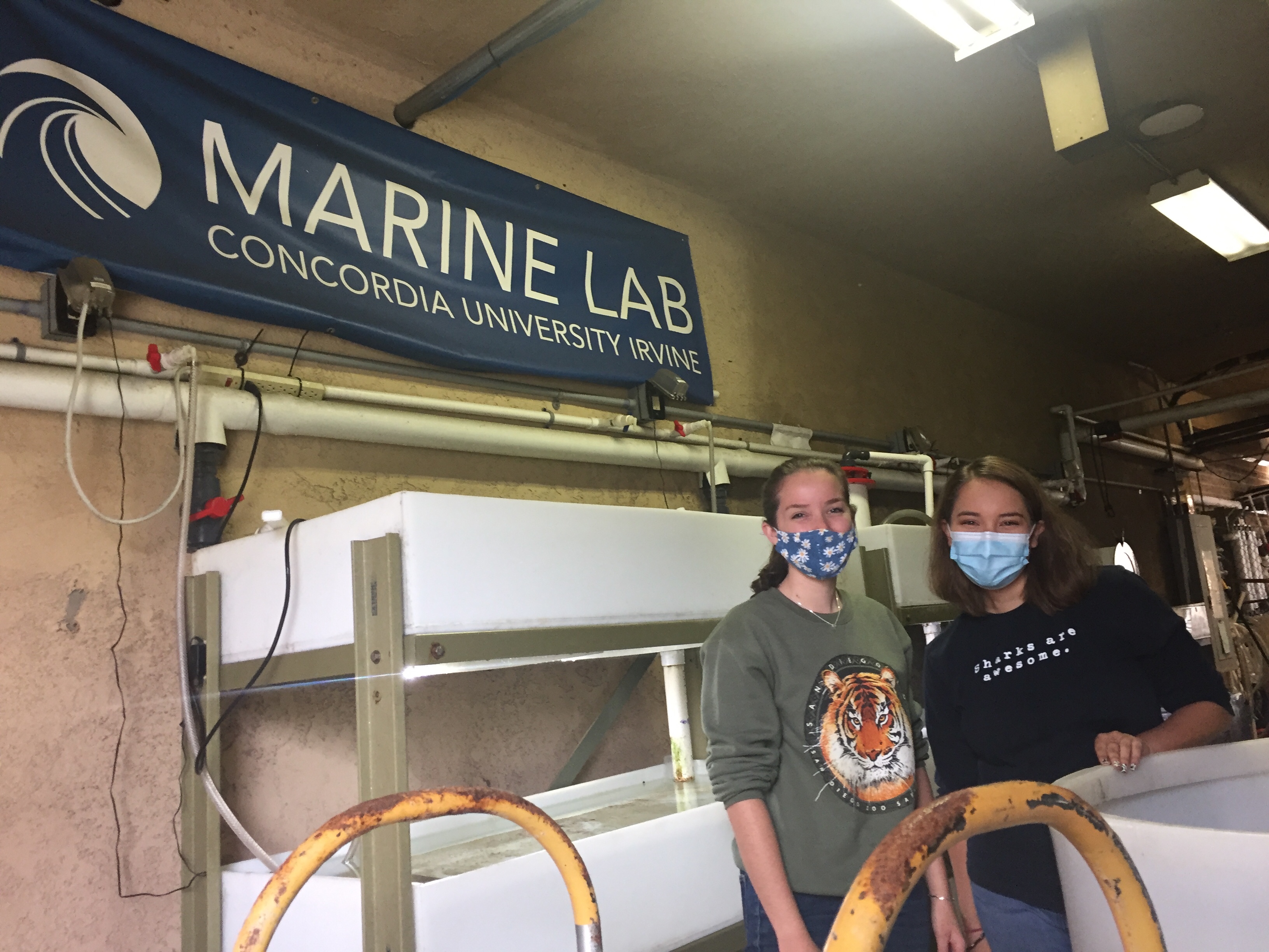 Come sea the Marine Lab